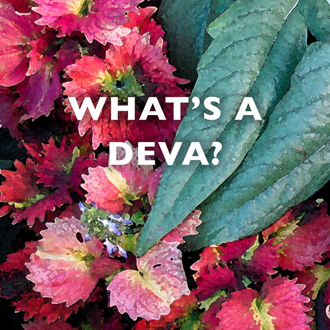 Waking up to the Devic Realm, What is it? – Leslie Montana