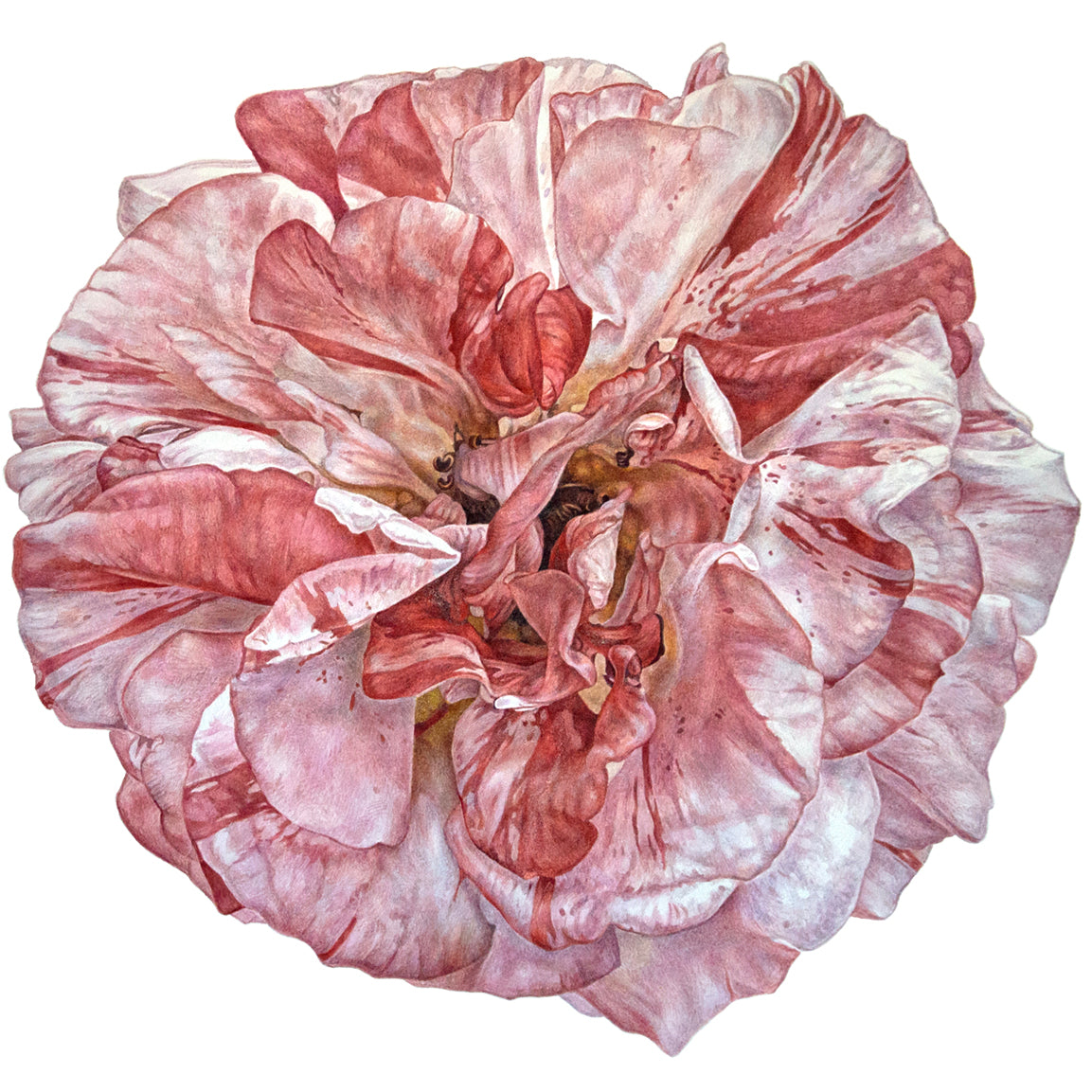 Mandala Rose, Art and Reality, Healing and Beauty – Leslie Montana